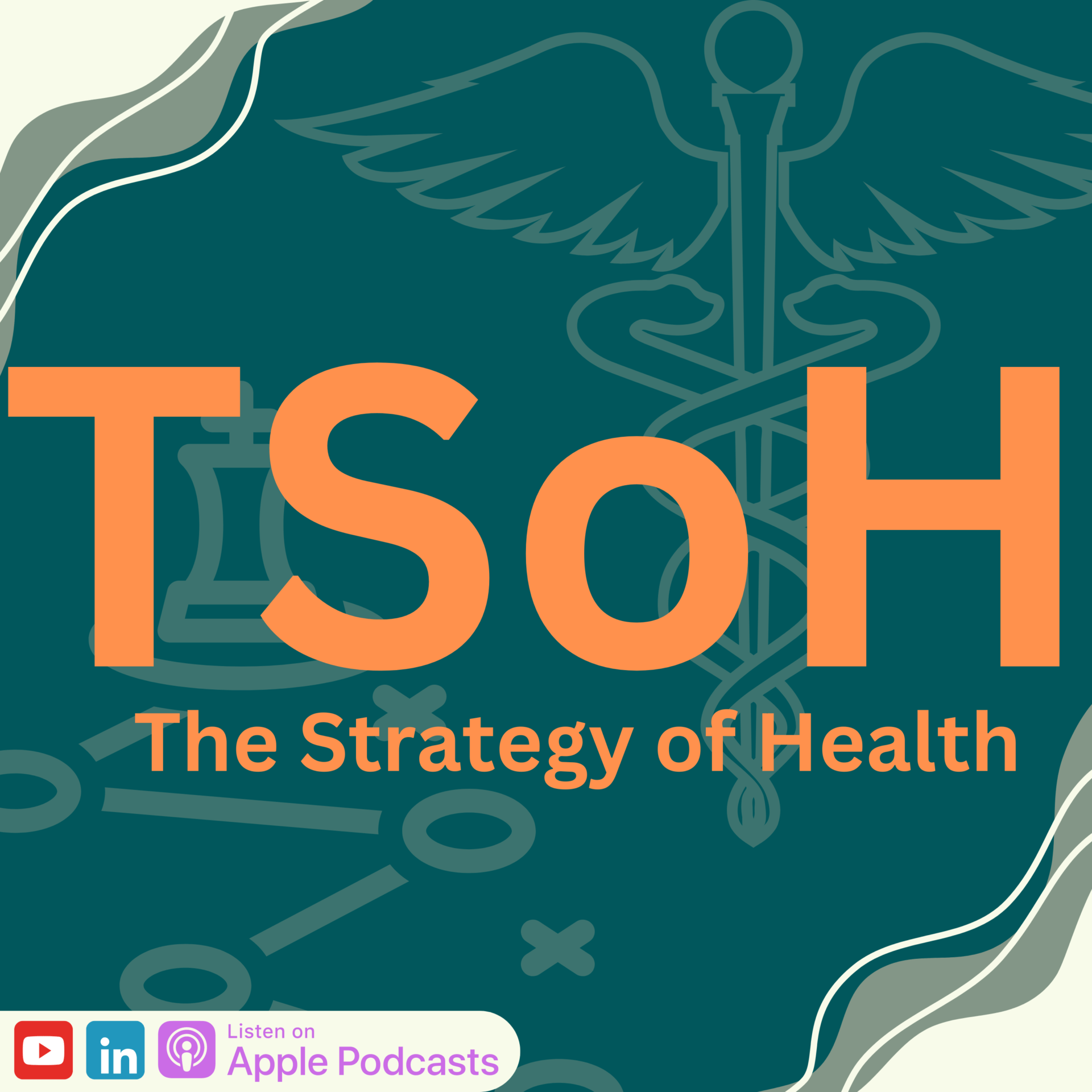 Healthcare Strategy for Everyone | AJHCS